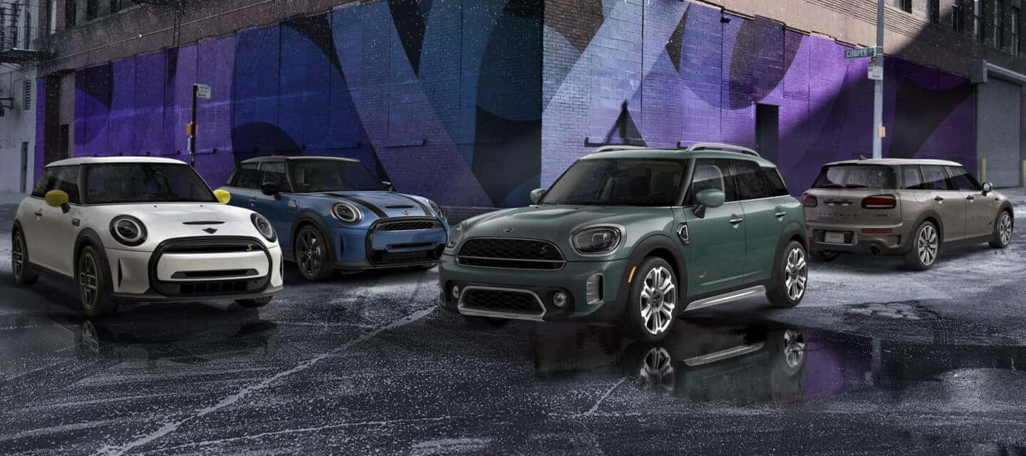 UNLEASH YOUR STYLE: A GUIDE TO CUSTOMIZATION OPTIONS FOR YOUR MINI ...