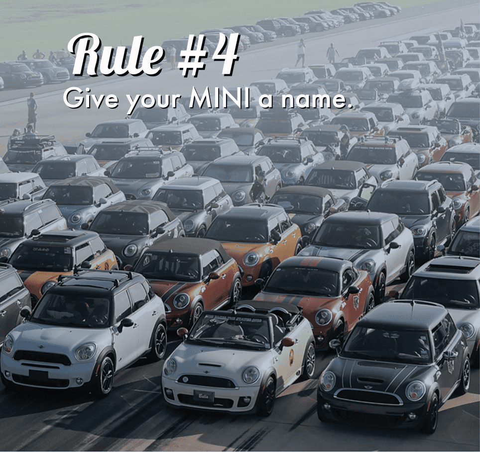 SO MINI POSSIBILITIES. | Bob Smith MINI