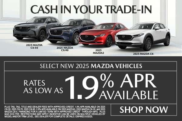 Special Offers | Lou Fusz Mazda Evansville