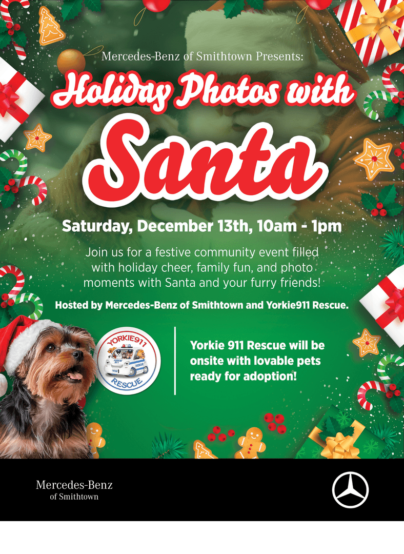 Pictures with Santa | Yorkie 911 Adoption | Mercedes-Benz of Smithtown