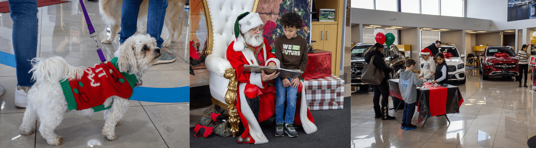 Holiday Cheer at Mercedes-Benz of Smithtown: A Festive Recap of Photos ...