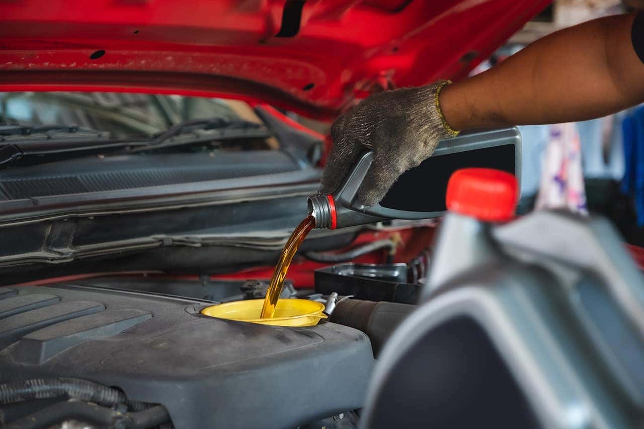 Schedule a MINI Oil Change in Wesley Chapel, FL | MINI of Wesley Chapel