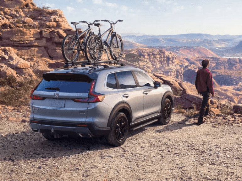 Which Honda Car Is Best for Your Lifestyle? | Pacific Honda San Diego