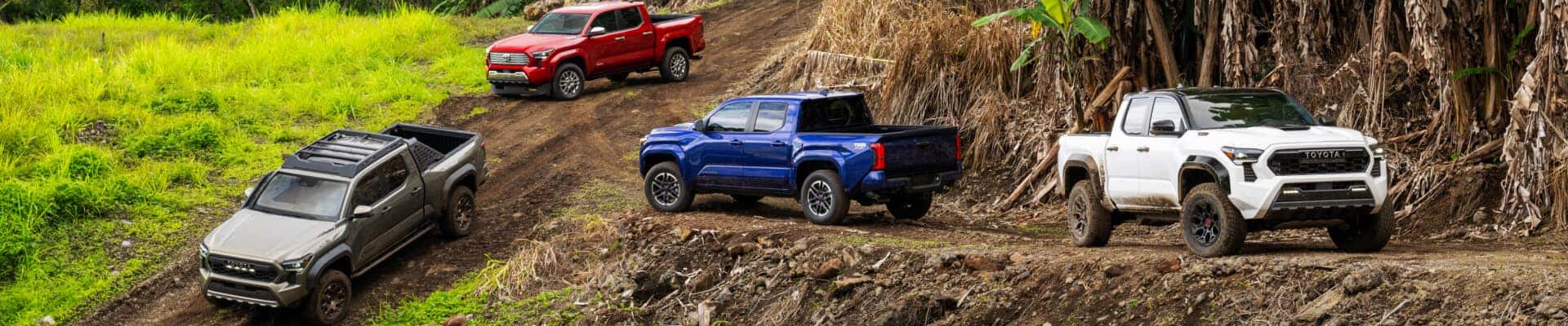 Toyota Tacoma Trim Comparison: Levels & Packages Explained