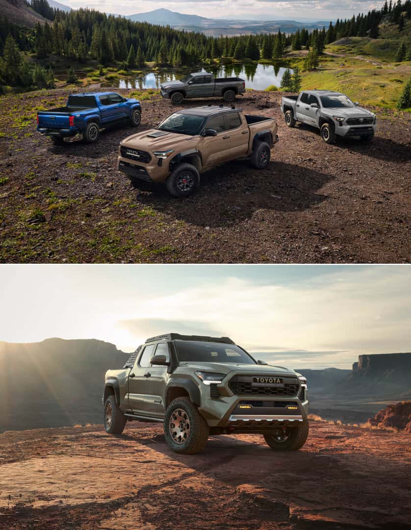 What Colors Does The 2021 Toyota Tacoma Come In Manual Pdf - Infoupdate.org