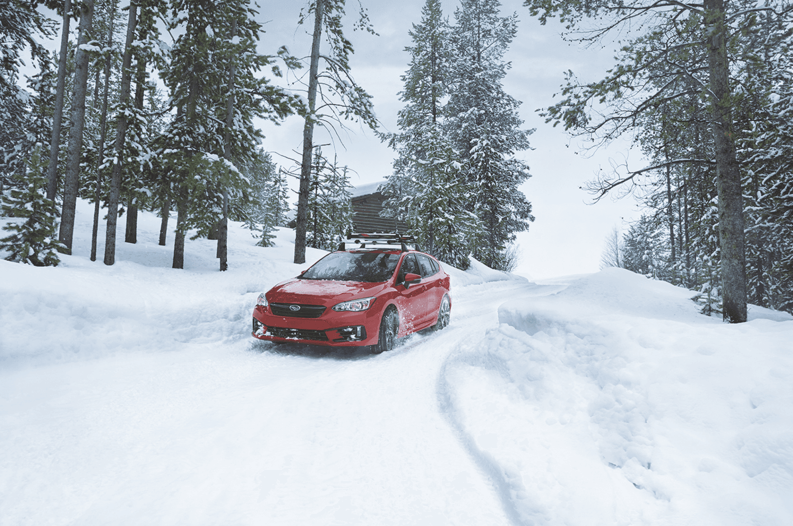 Introducing the 2024 Subaru Impreza | Subaru of Albany