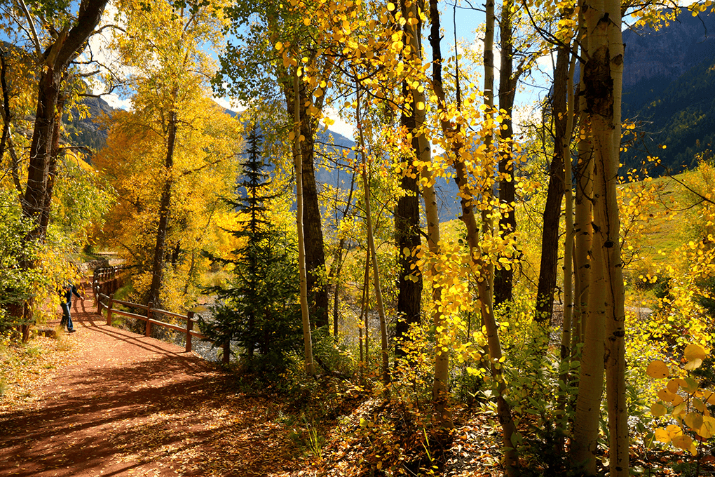 5 Places Nearby to Find Breathtaking Autumn Foliage This Fall ...