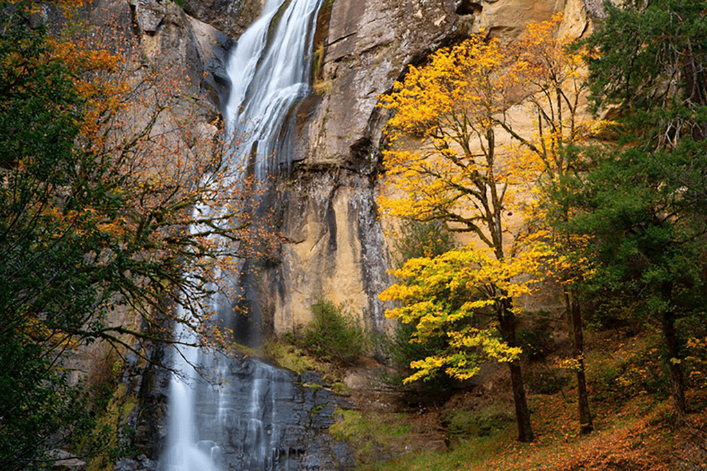 5 Places Nearby to Find Breathtaking Autumn Foliage This Fall ...