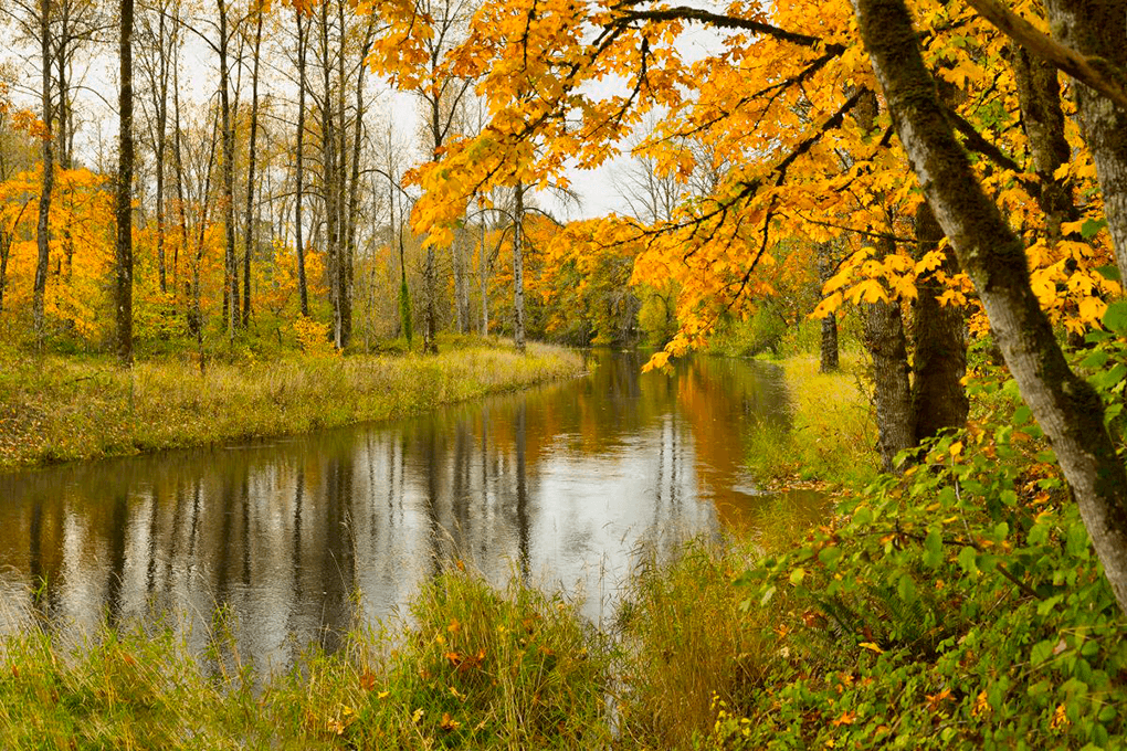 5 Places Nearby to Find Breathtaking Autumn Foliage This Fall ...