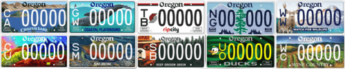 The Art of the Plate: A Guide to Designing and Ordering Custom License ...