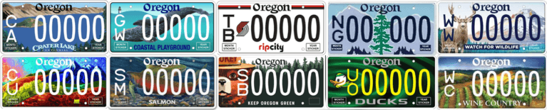 The Art of the Plate: A Guide to Designing and Ordering Custom License ...