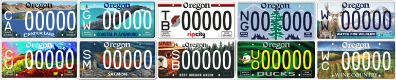 The Art of the Plate: A Guide to Designing and Ordering Custom License ...