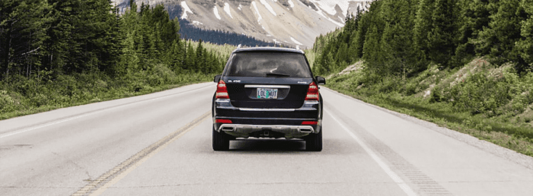 The Art of the Plate: A Guide to Designing and Ordering Custom License ...